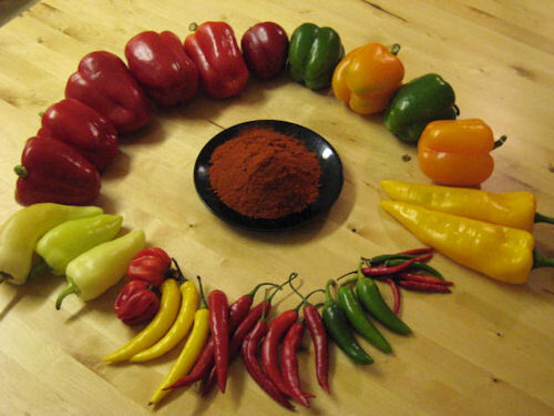 Olika paprika sorter